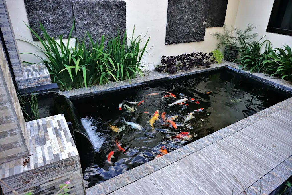 Apex Fiberglass Pond Kits - Easy DIY